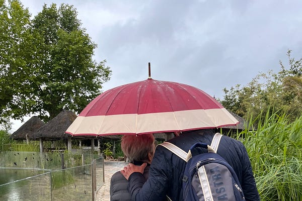 Learn French with Maud | Maud Your French Teacher | Substack