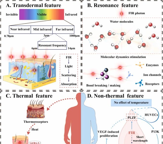 The Real Benefits of Far Infrared Light - by Zaid K. Dahhaj