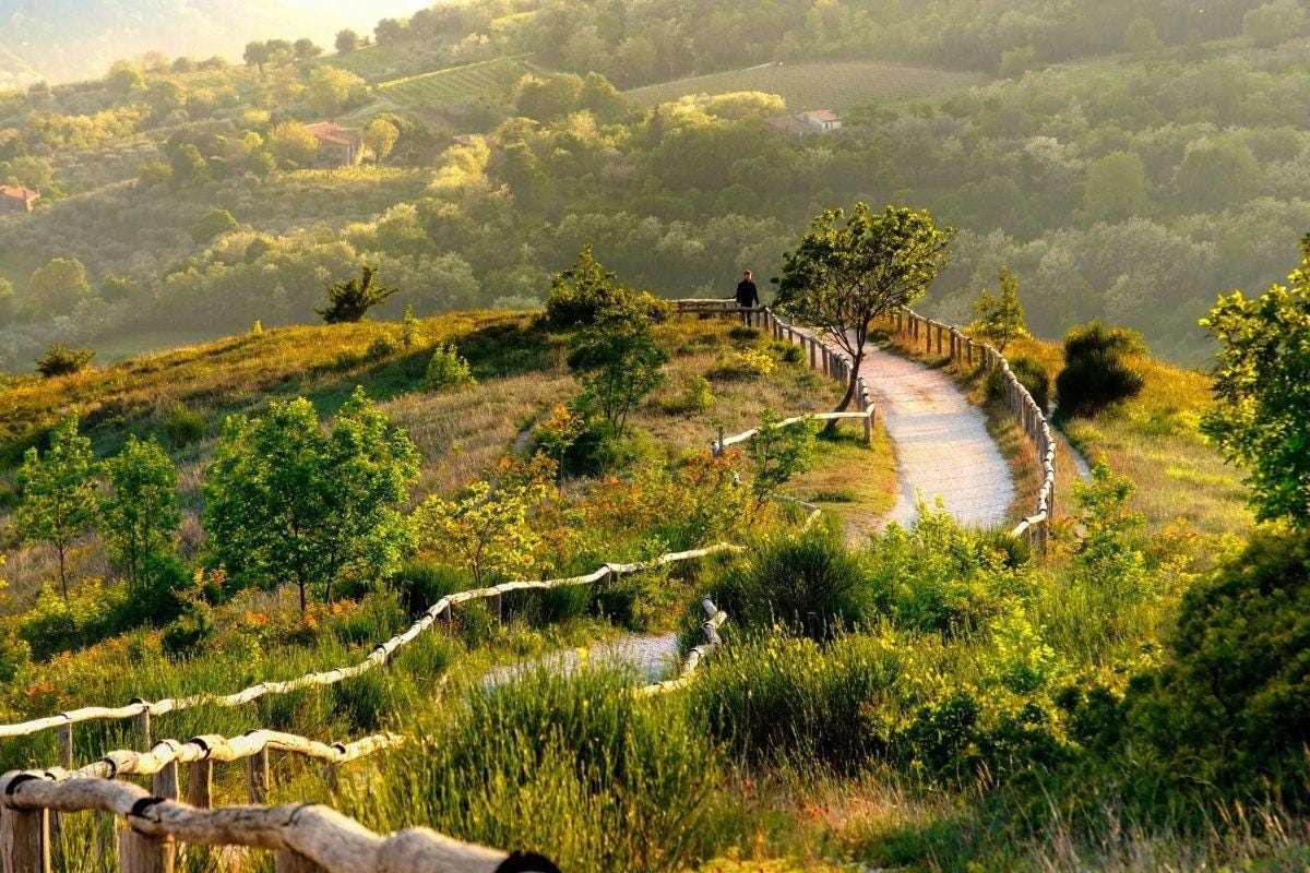 #45 OTO ITALIA - Matteo Brunetti