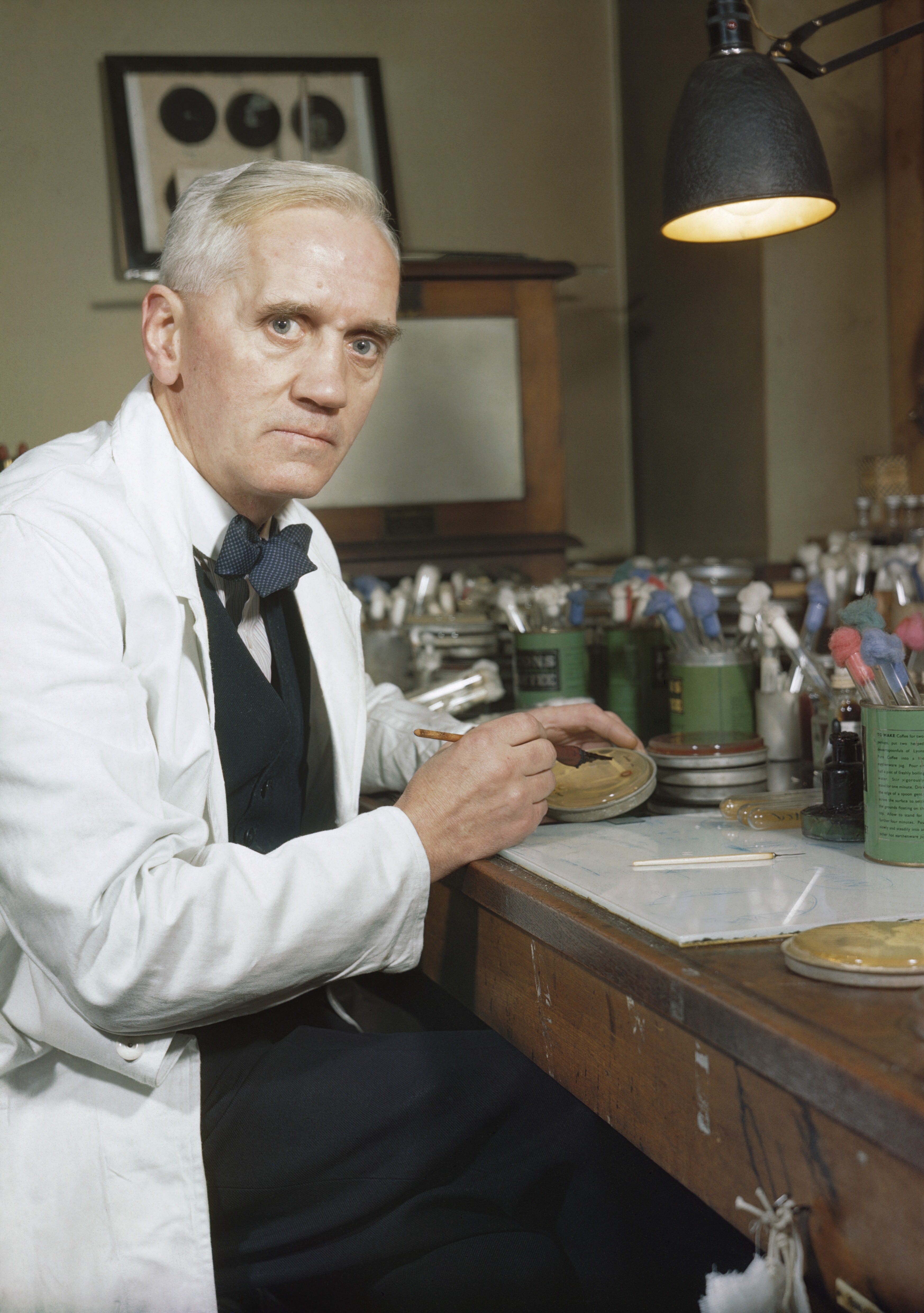 The Penicillin Myth - Asimov Press