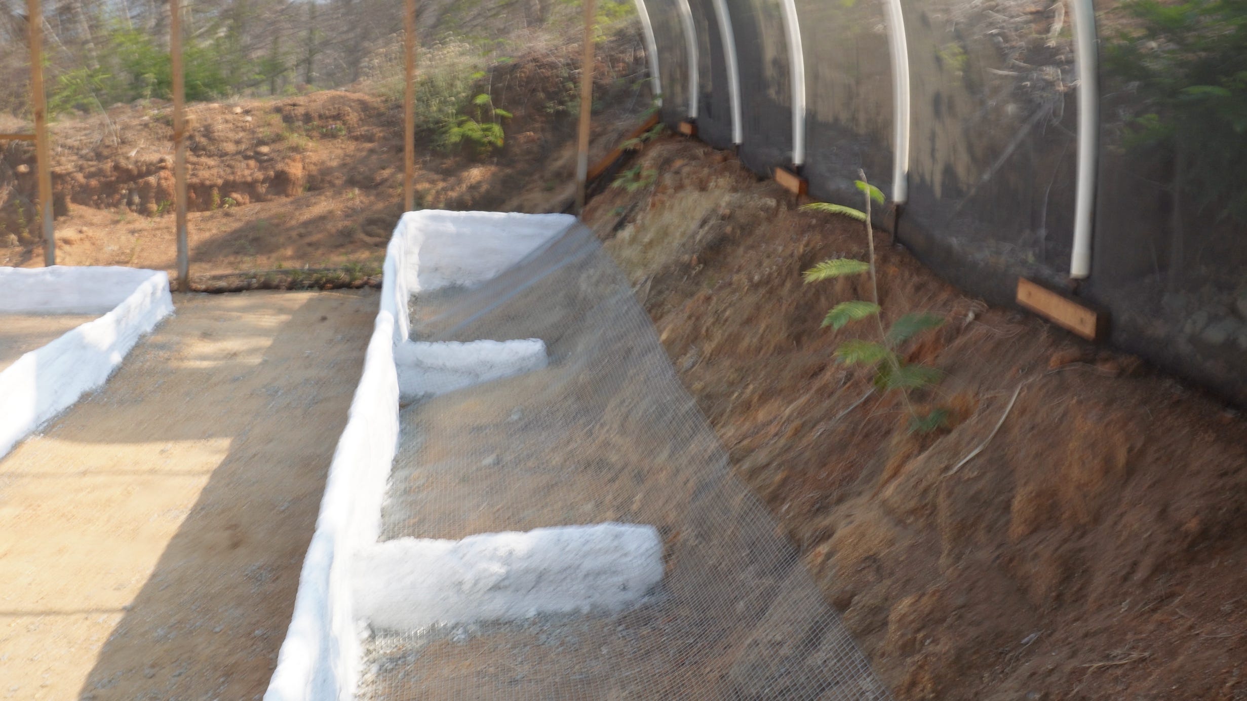 Building Soil From Scratch on the Oaxaca Coast