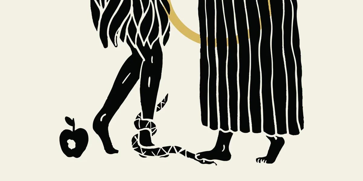 Advent Begins in the Light - by Jason Micheli - Tamed Cynic
