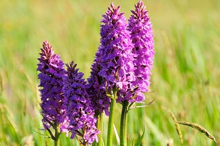 Jonathan Edward Durham’s Substack | Substack