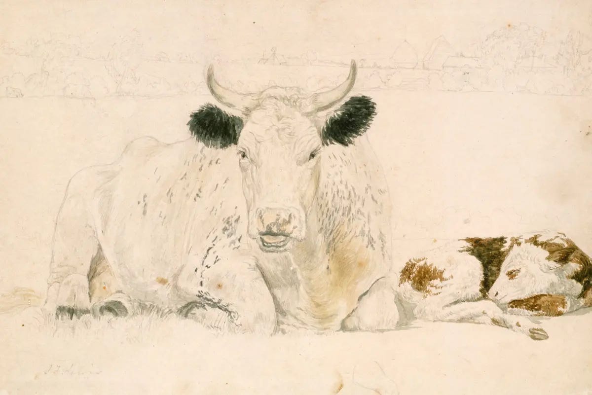 Cows, Horses, and Turnips: Three Poems for October 18th