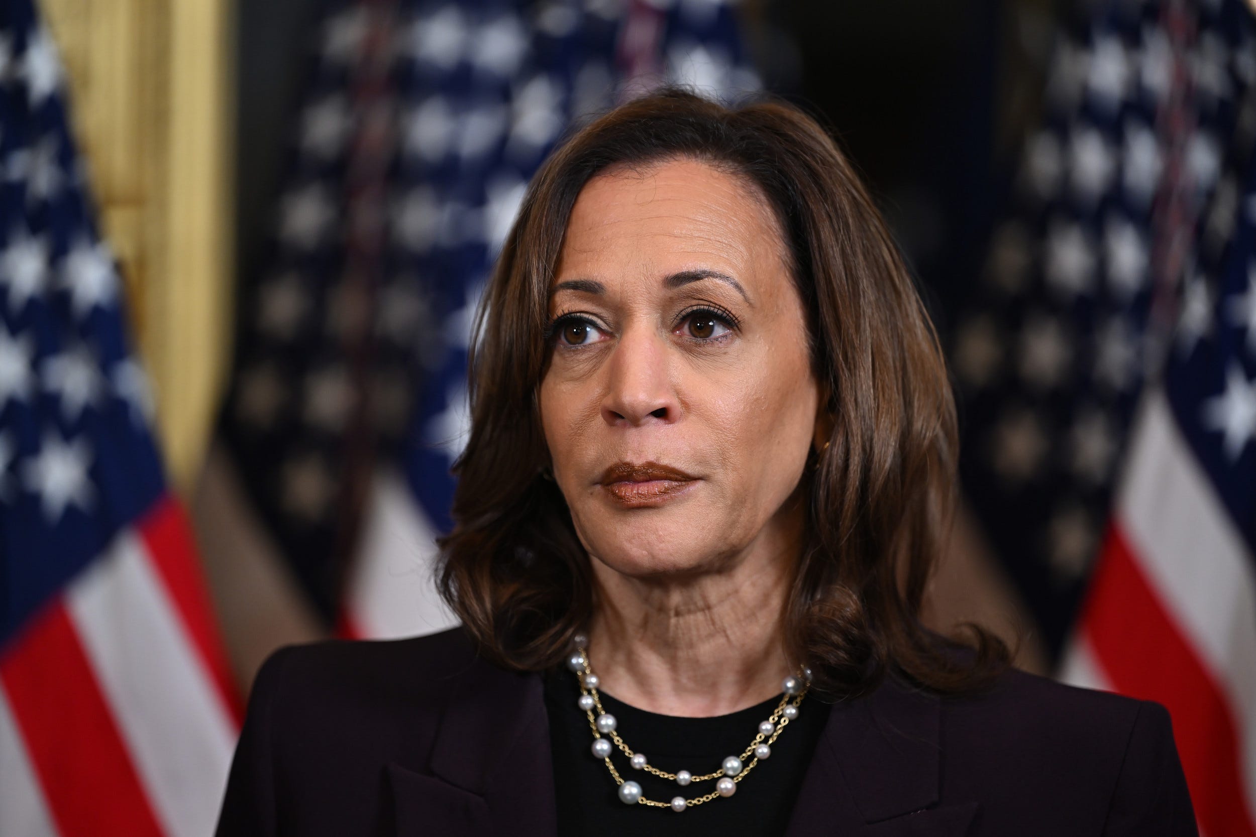 Vice President Kamala Harris Won the U.S Elections: Explosive Report ...