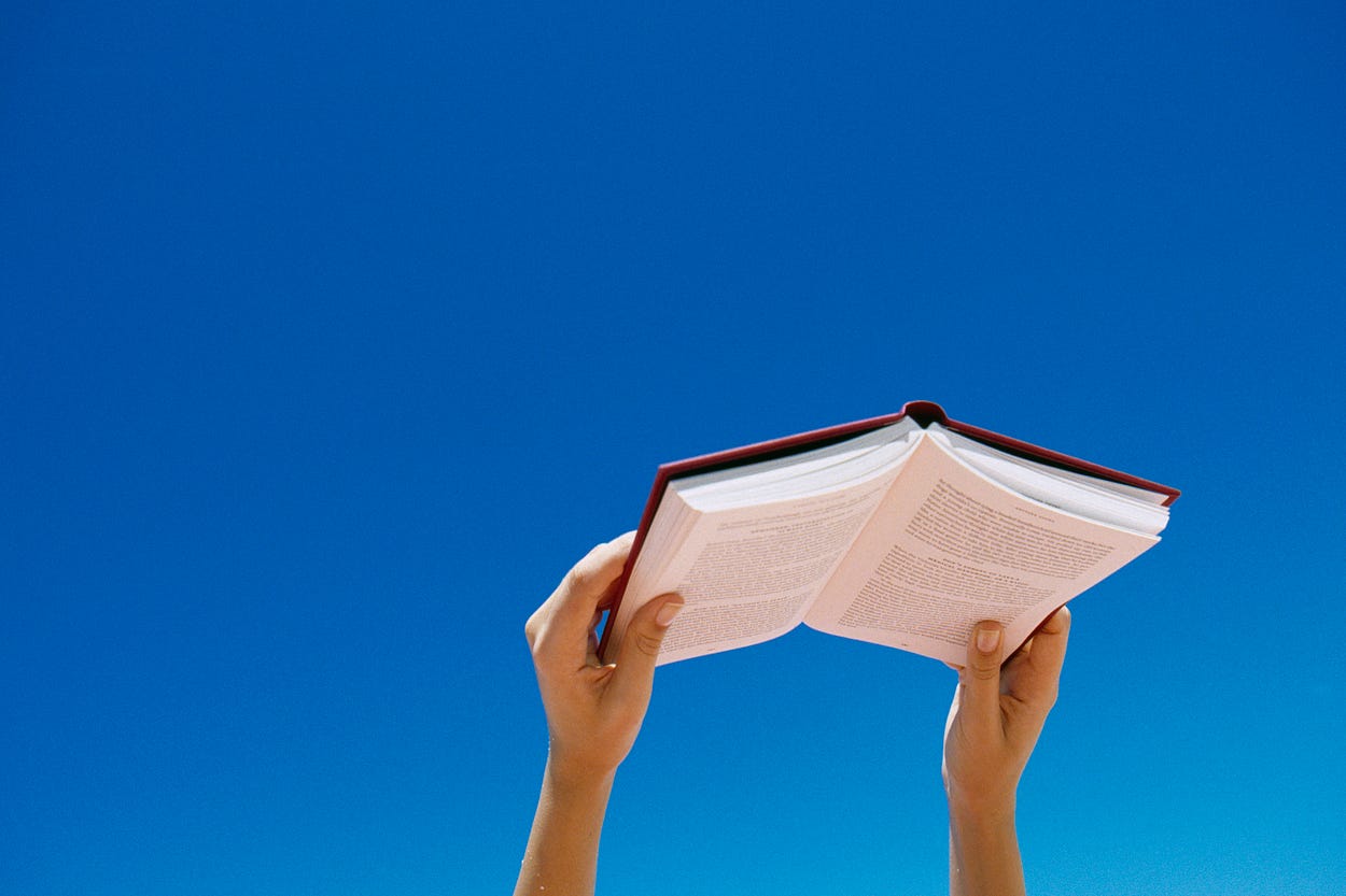 The Border Chronicle | Substack