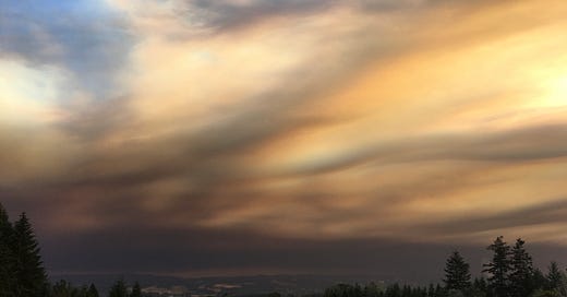 Life is Laundry | D.K. Boss | Substack