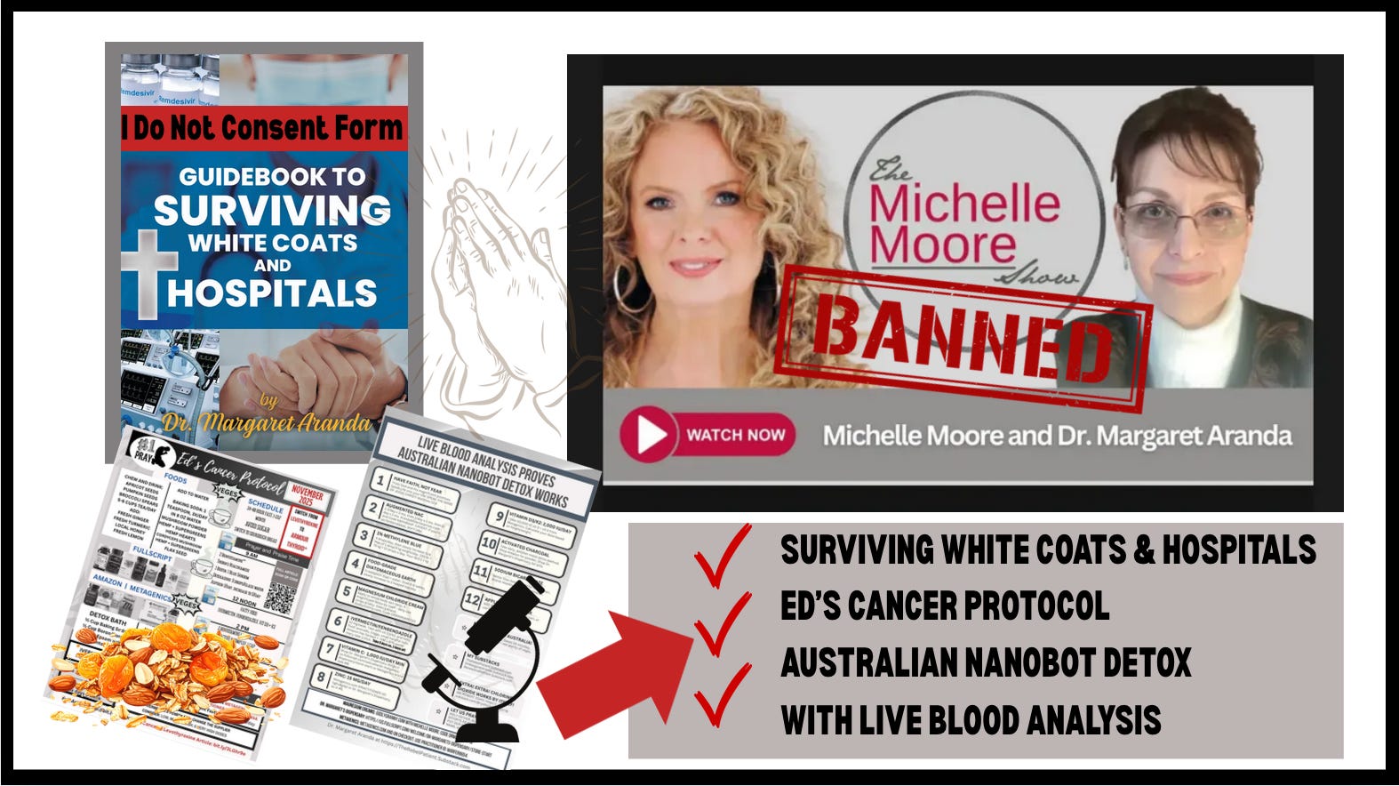 My Interview on The Michelle Moore Show Was BANNED from Streaming or ...