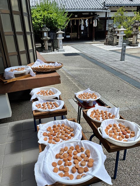 Let’s Talk About Umeboshi（うめぼし） - by Toukyo