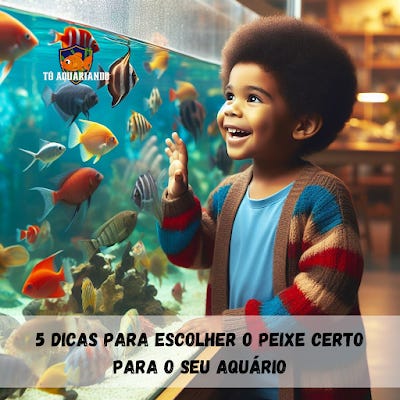 5 dicas para escolher o peixe certo para o seu aquário