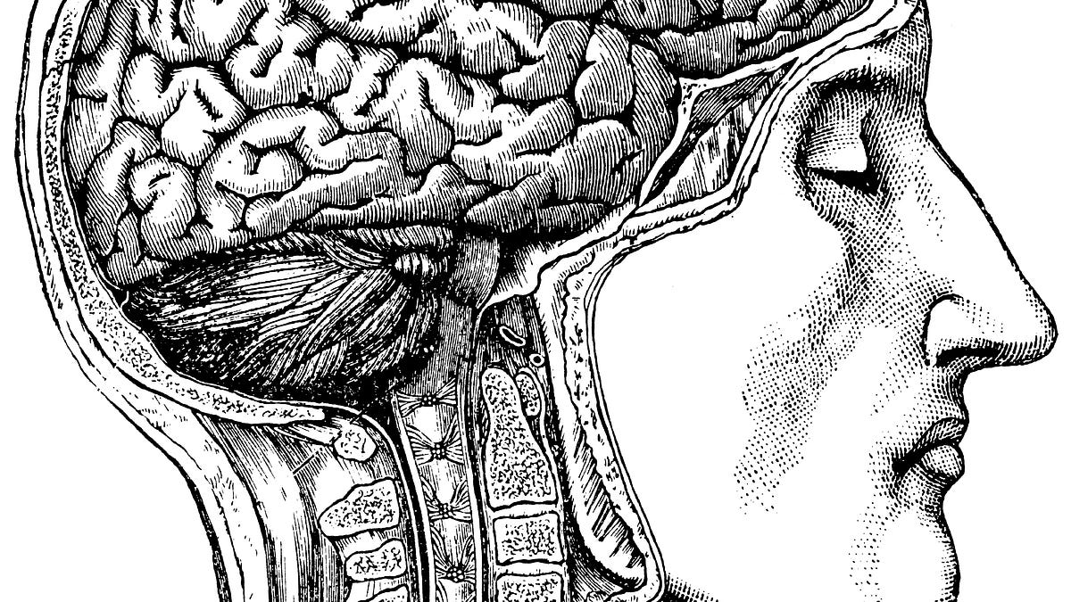Inside the Character, Part I: What Is Interiority?