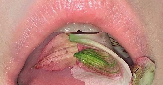 Yours Truly, | Serena | Substack