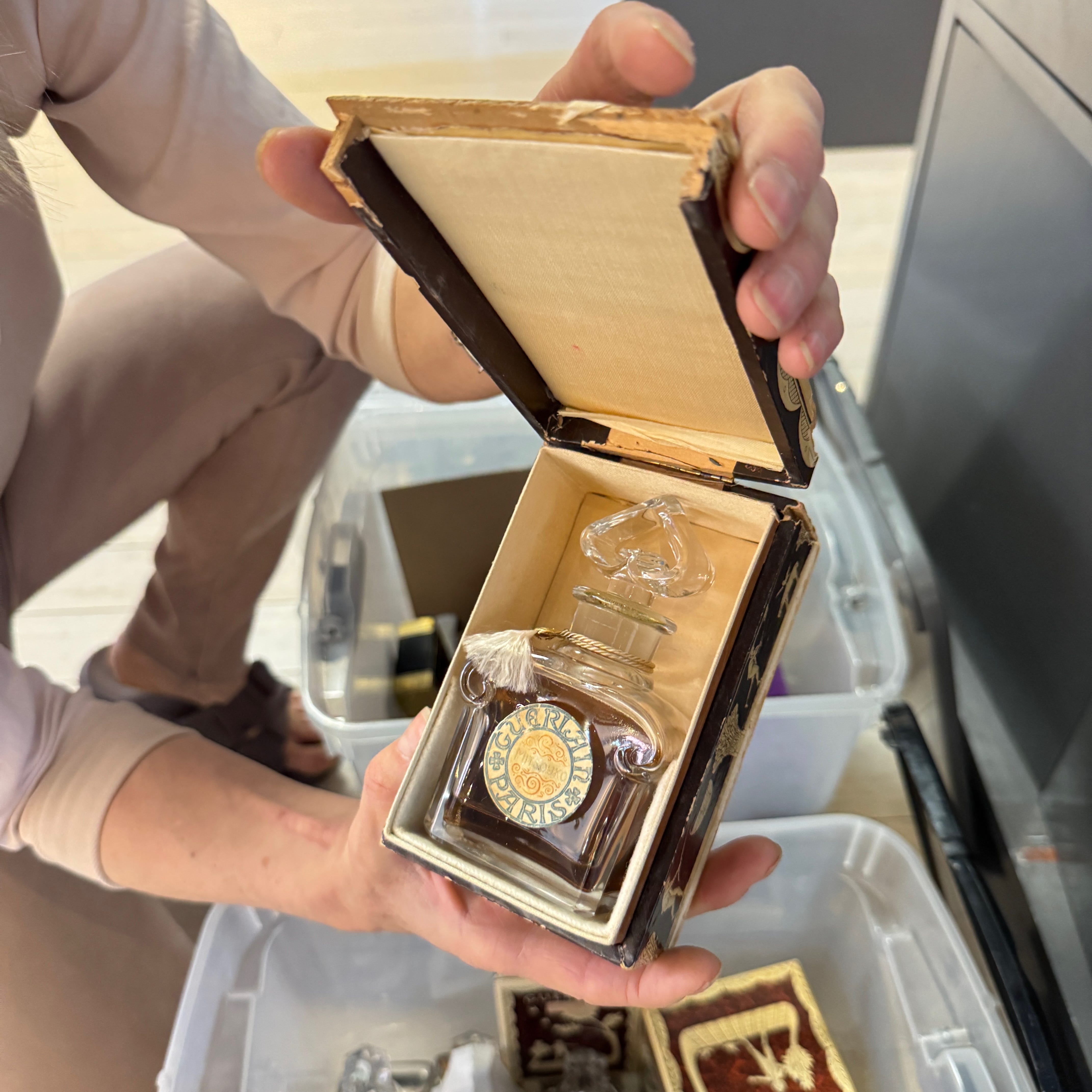 Fragrance Vault - by Luca Turin 🇮🇹🇪🇺