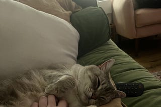 Friends Per Second | Substack