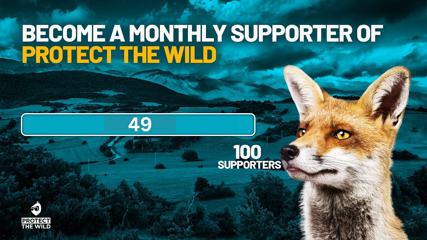Meet the MP leading the fight to end hunting for good