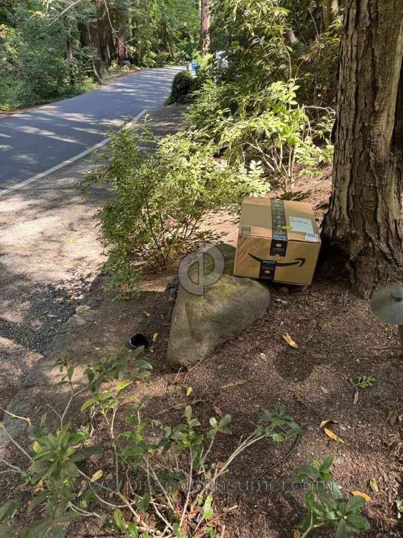 ‘Order Left to Be Rained On!’ and Other Amazon Delivery Frustrations ...