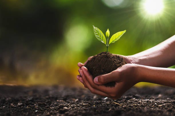 Harvesting ROI from AI on the Farm - by Dan Maycock