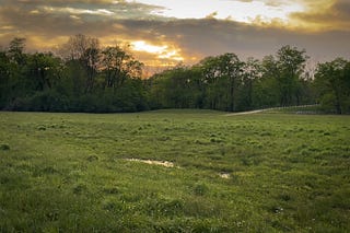 Jessica Adam | Substack