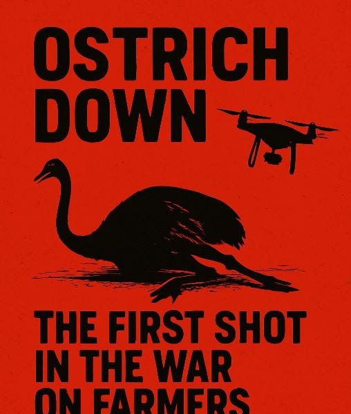 “Ostrich Down: The First Shot in the War on Farmers”