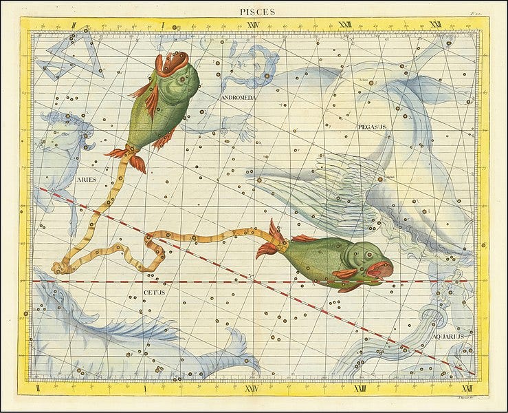 The Decans of Pisces 2026 – True Tarot Tales