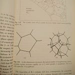 Curiosity Genes | Substack