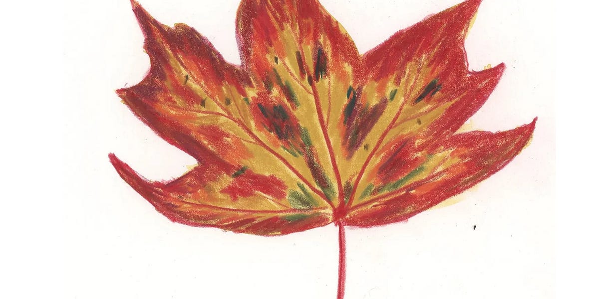 fall leaf drawings