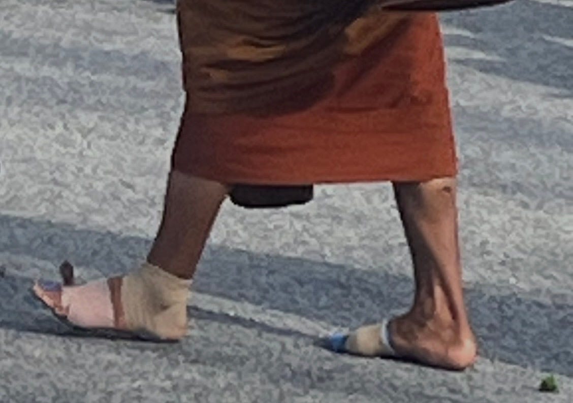 Monks Walk for Peace - by Trevor Scott Barton