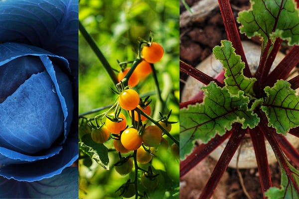 Life with Jamie Marie | Substack