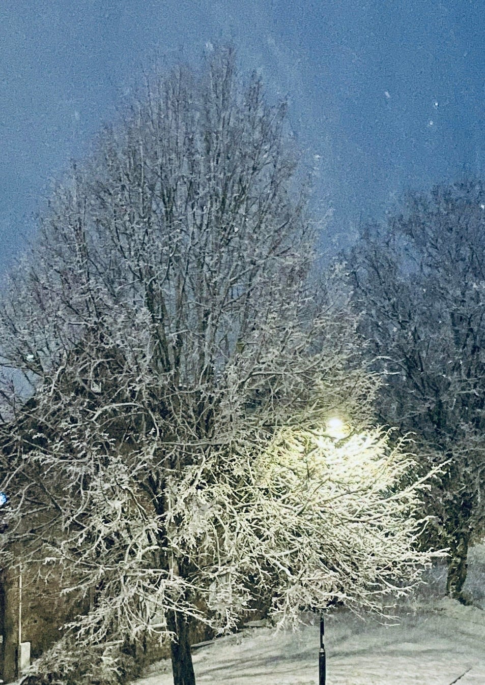 The Snow Queen - by Trudi Nicola - Sparks of light