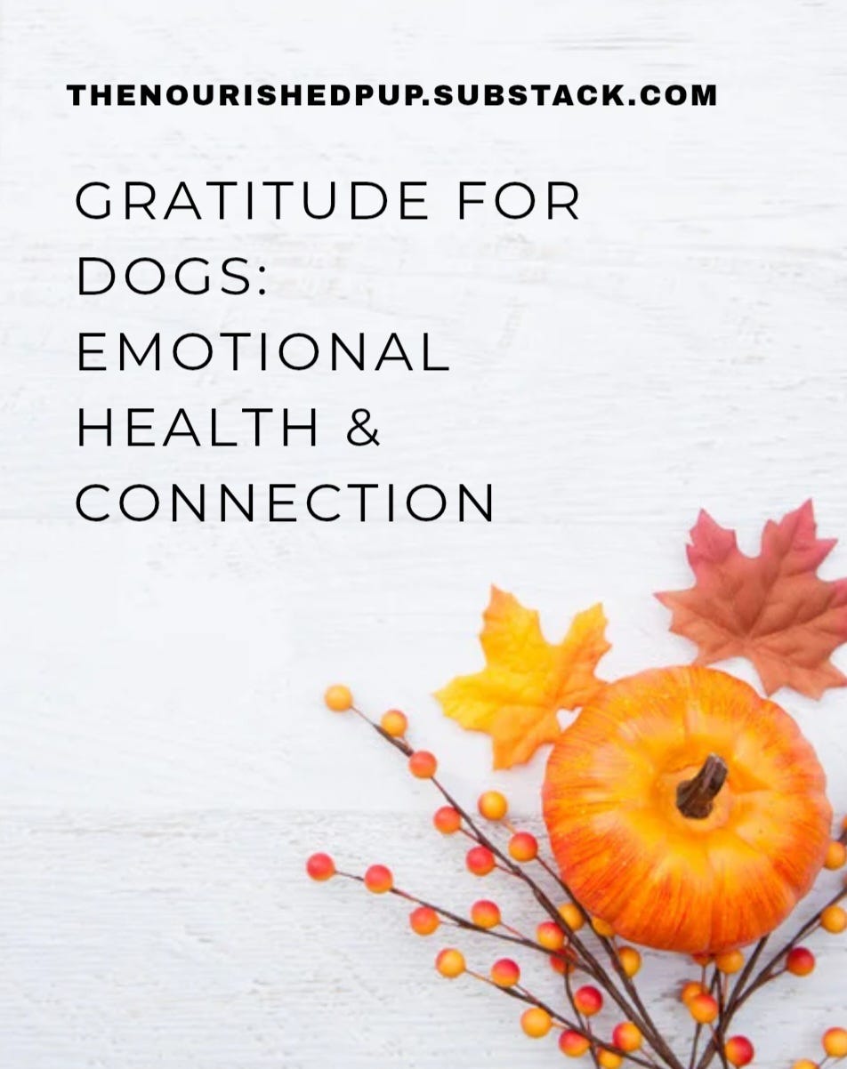 Gratitude for Dogs: Emotional Health & Connection