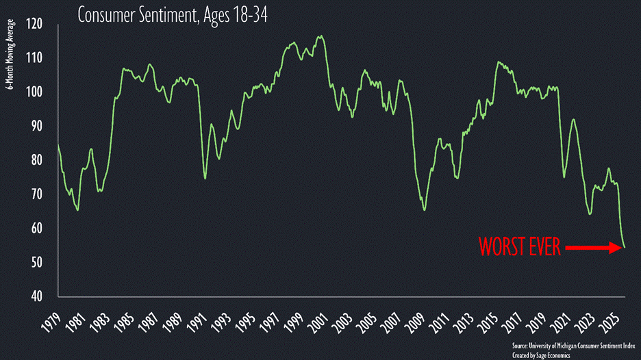 No Economy for Young Adults - by Zack Fritz