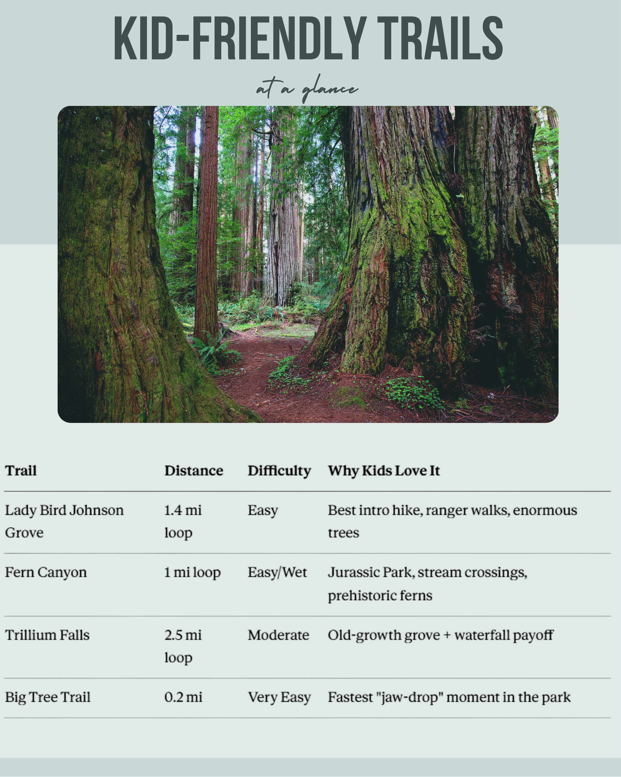 The Ultimate Oregon Coast & Redwoods Family Road Trip