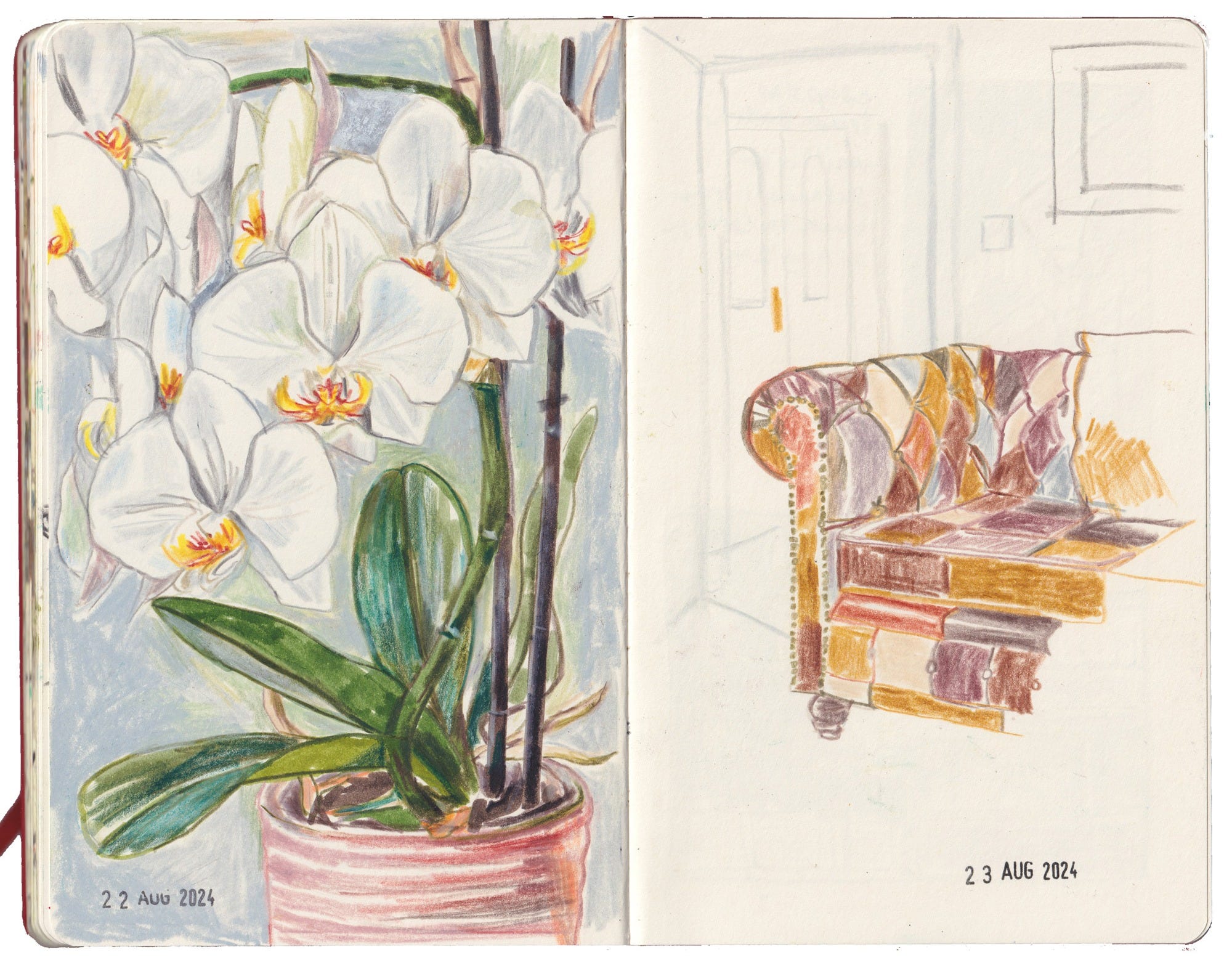 August Sketchbook pages - by Melanie Chadwick