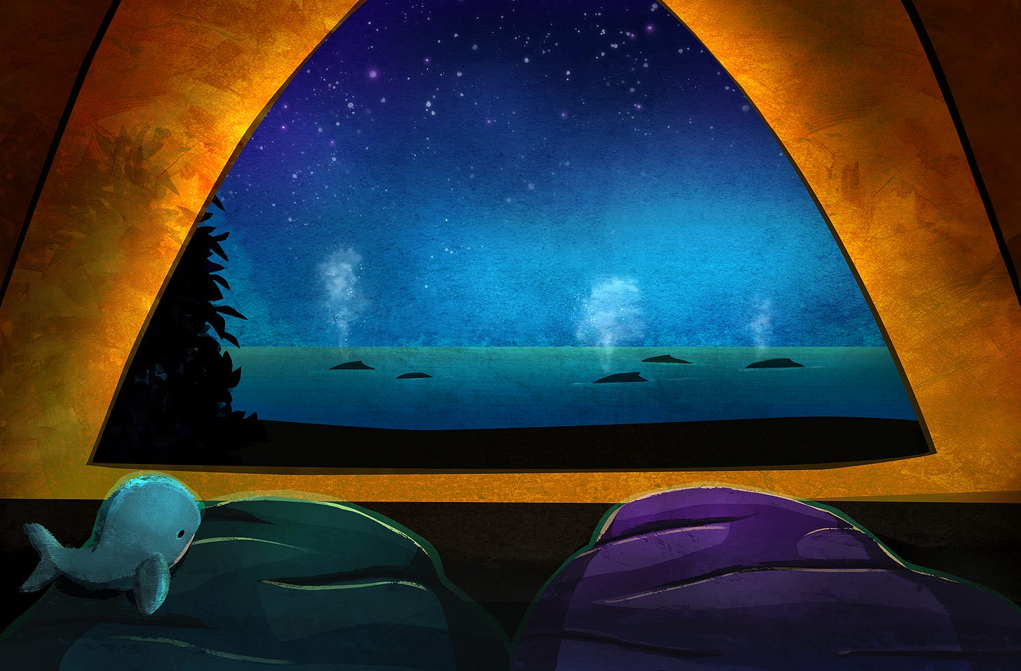 Six Different Perspectives to Use in Illustrations in Children’s Book