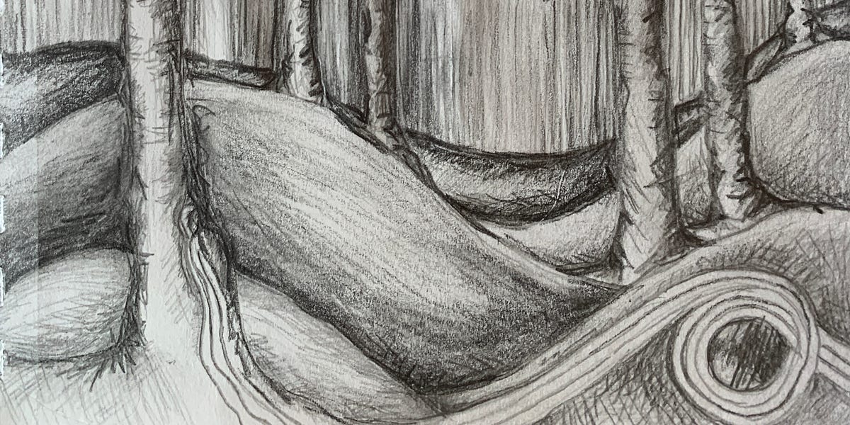 The Turtle Prompts Return!