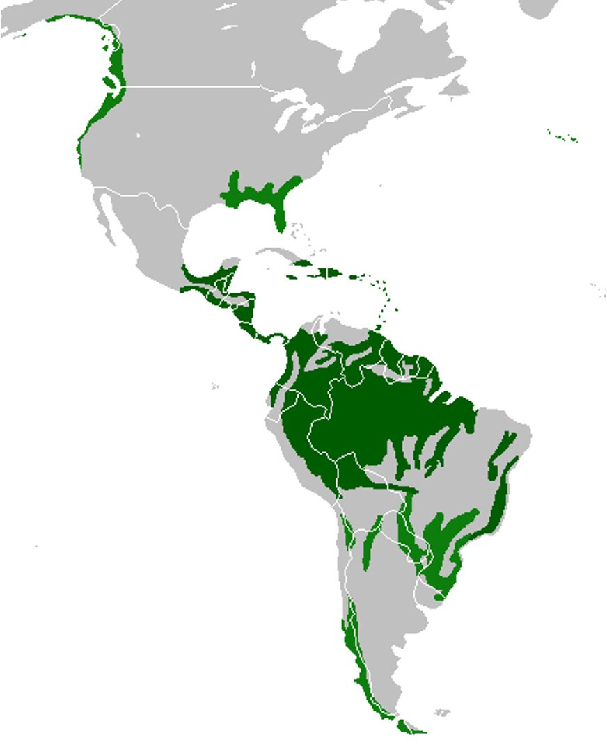 Why Is Chile So Long? - by Tomas Pueyo