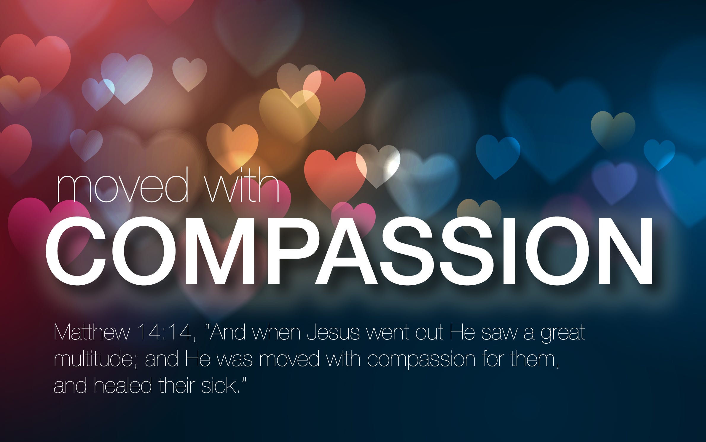 The True Meaning of Compassion - by Jennifer Jacobsen