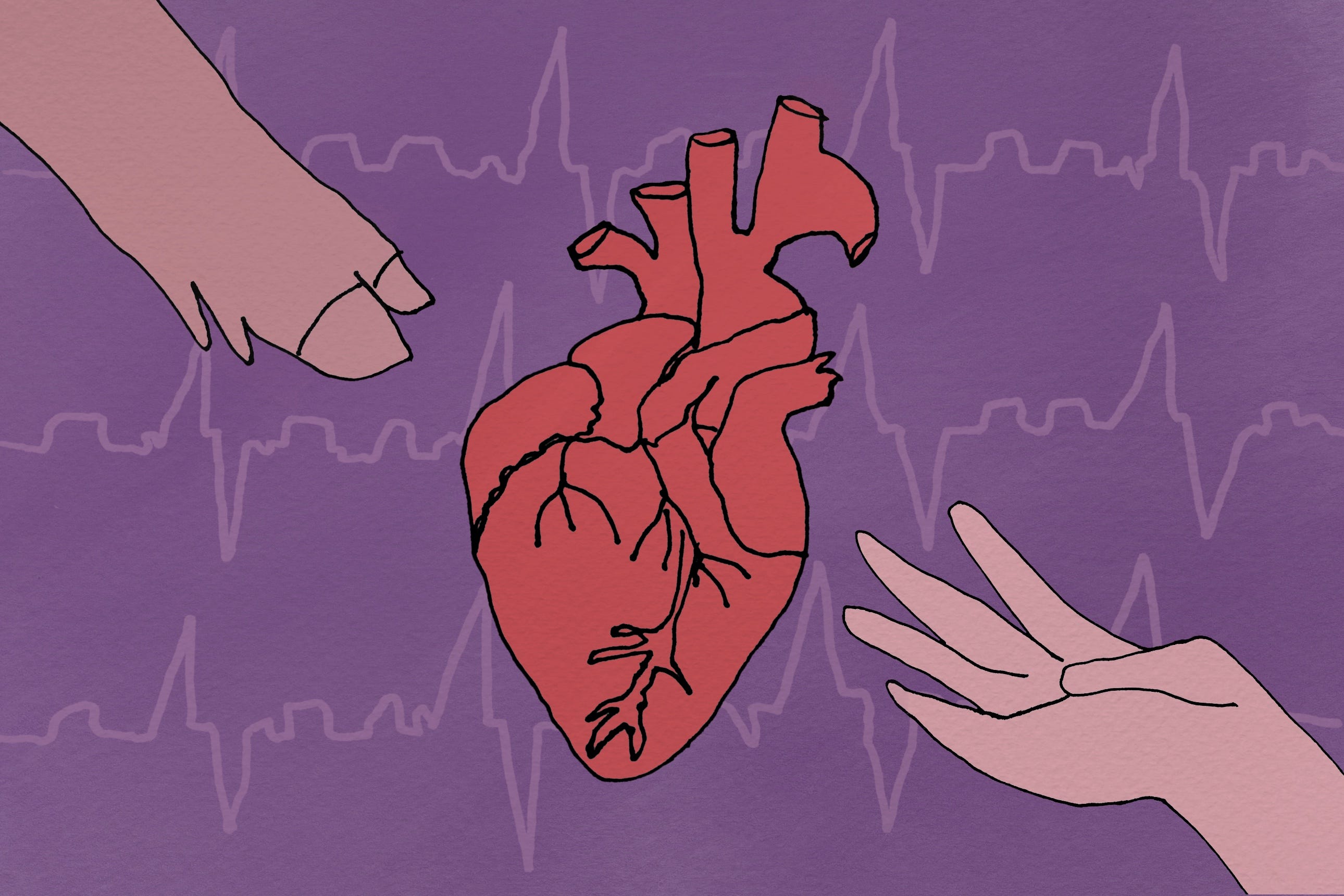 How Do You Ask a Dying Man to Accept a Pig’s Heart?
