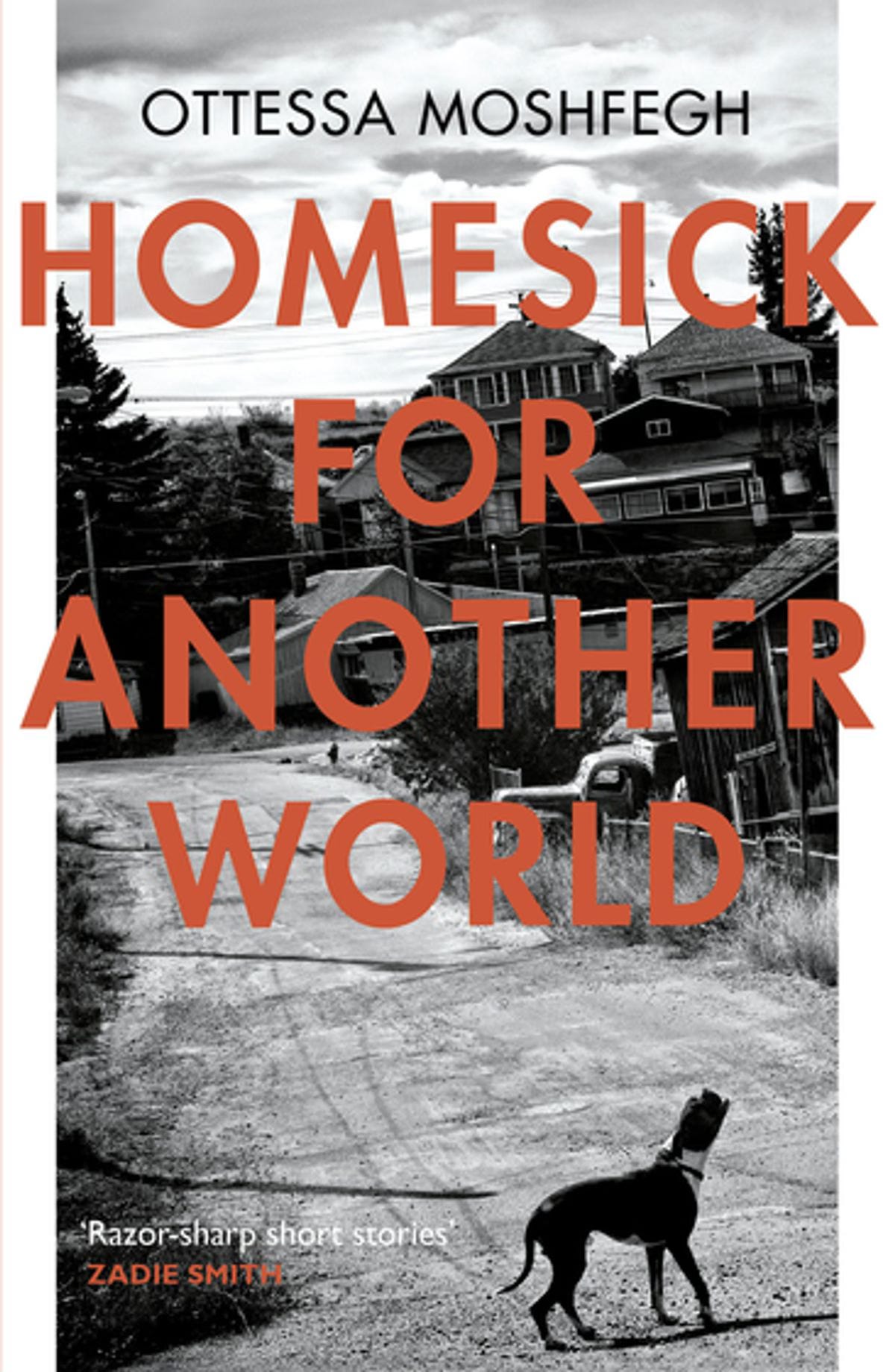 9 contemporary short story collections