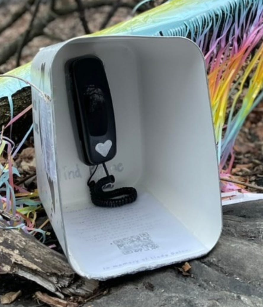 The Wind Phone: When Words Travel Beyond