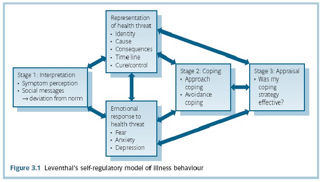 self regulation behaviour