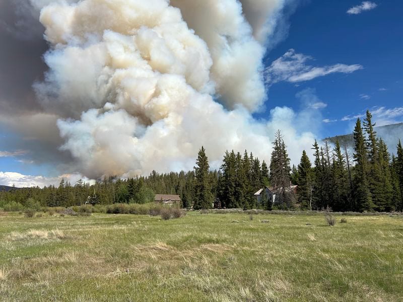 Employees Who Took The Deferred Resignation Can Now Respond To Wildfires.