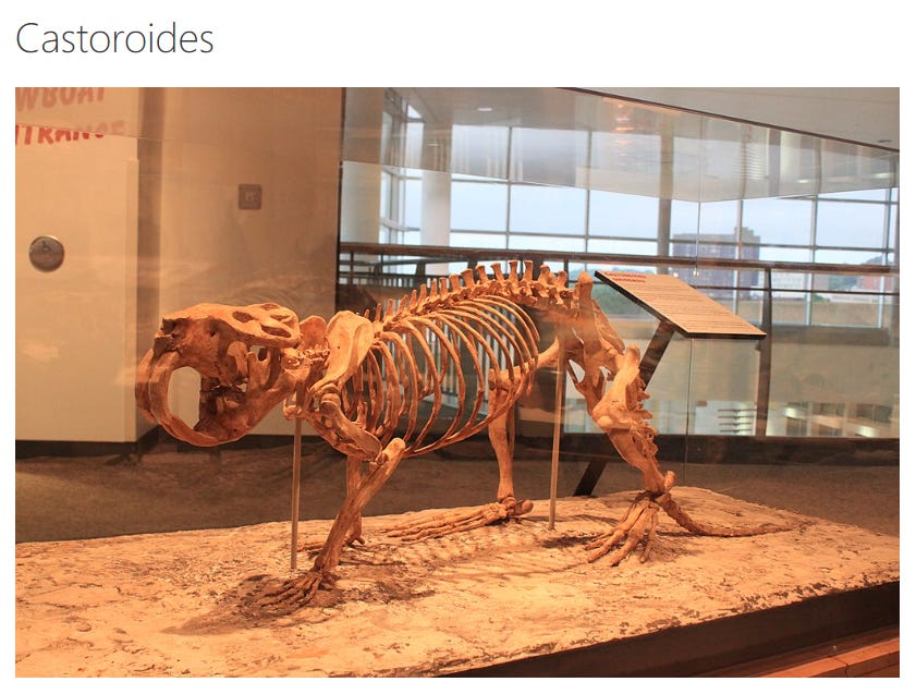 History Hoax: BONE FRAUD - Are Dinosaur Bones Actually From Species of ...