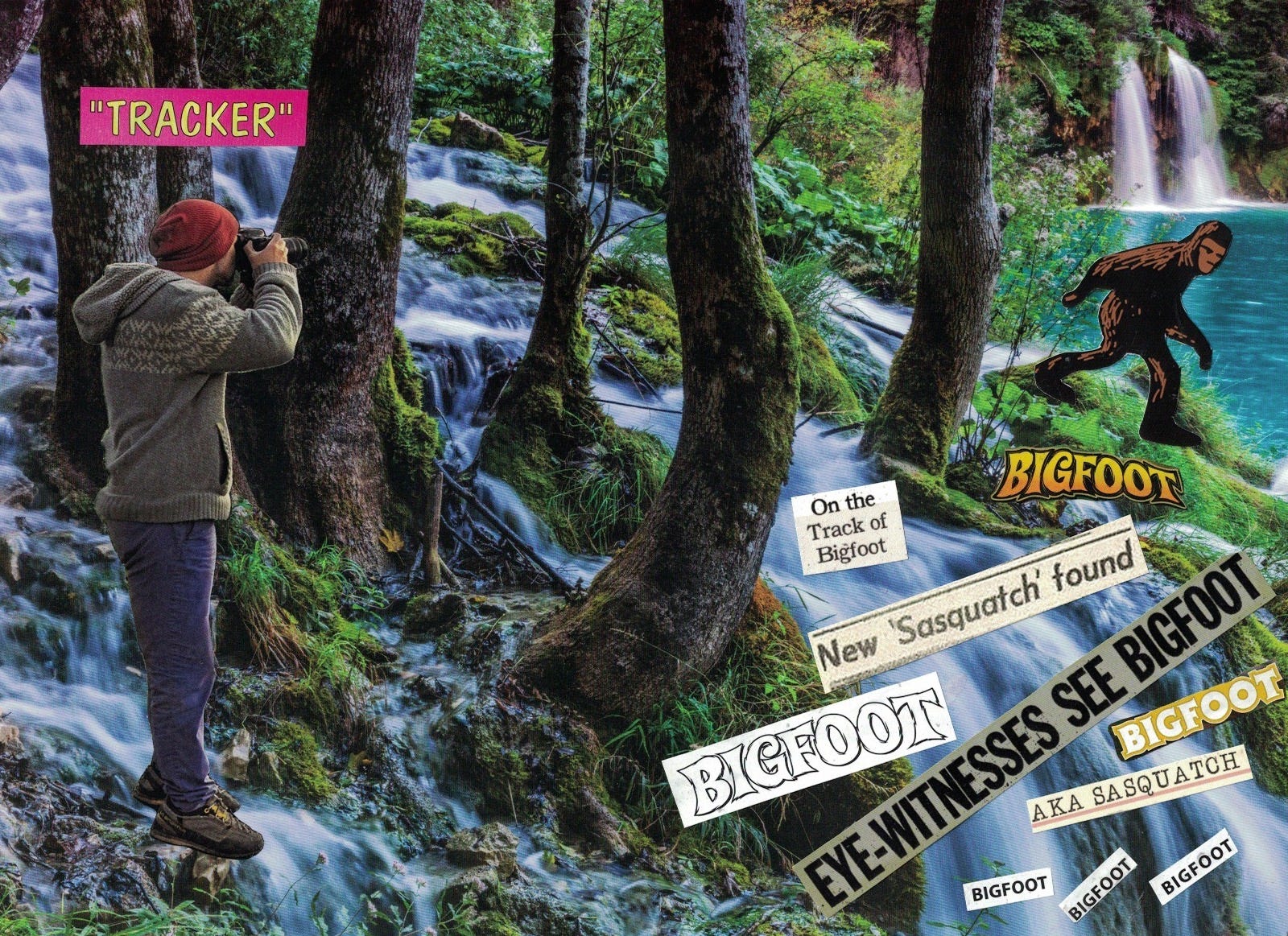 The Bigfoot Enigma - by Tim W. Jackson and Grimrose Manor