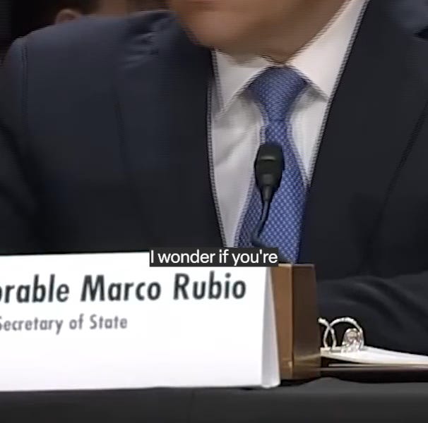 Marco Goes to Congress - The Contrarian