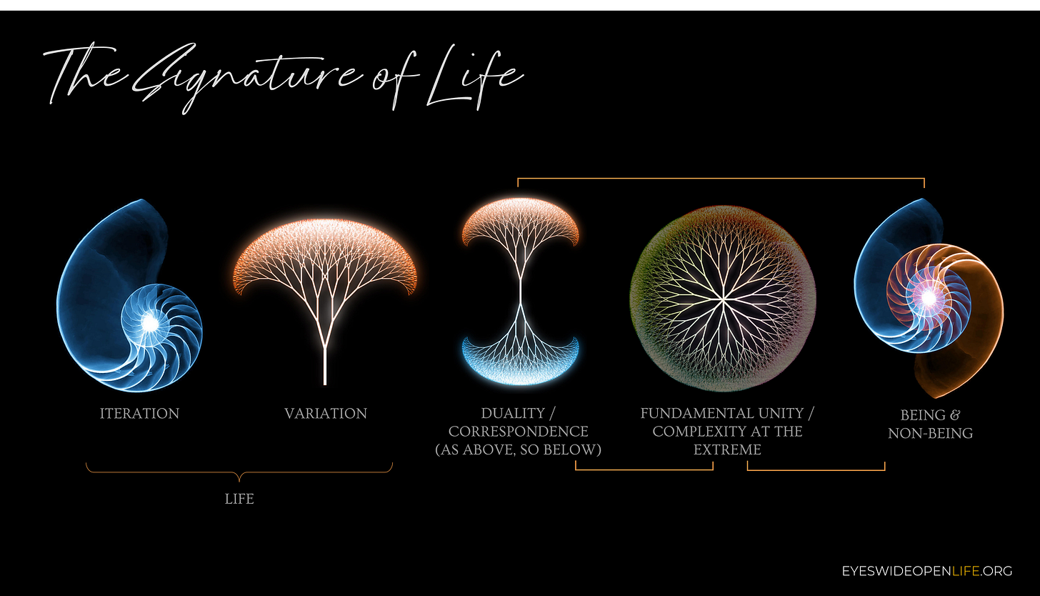 Hermetics 101: As Above, So Below - by Rocco Jarman