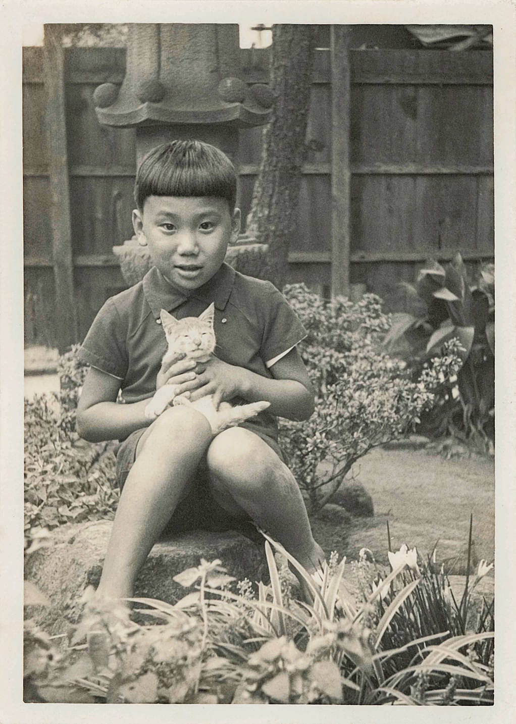 Haruki Murakami's "Peter Cat" - by Bailey Richardson