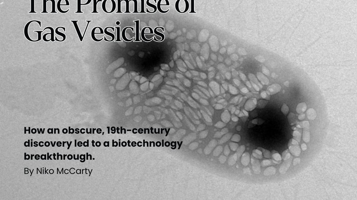 vesicles under light microscope