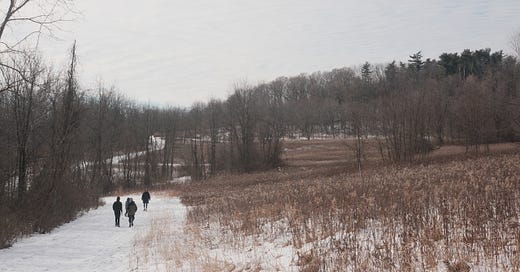 The Artifice | Trae Castles | Substack