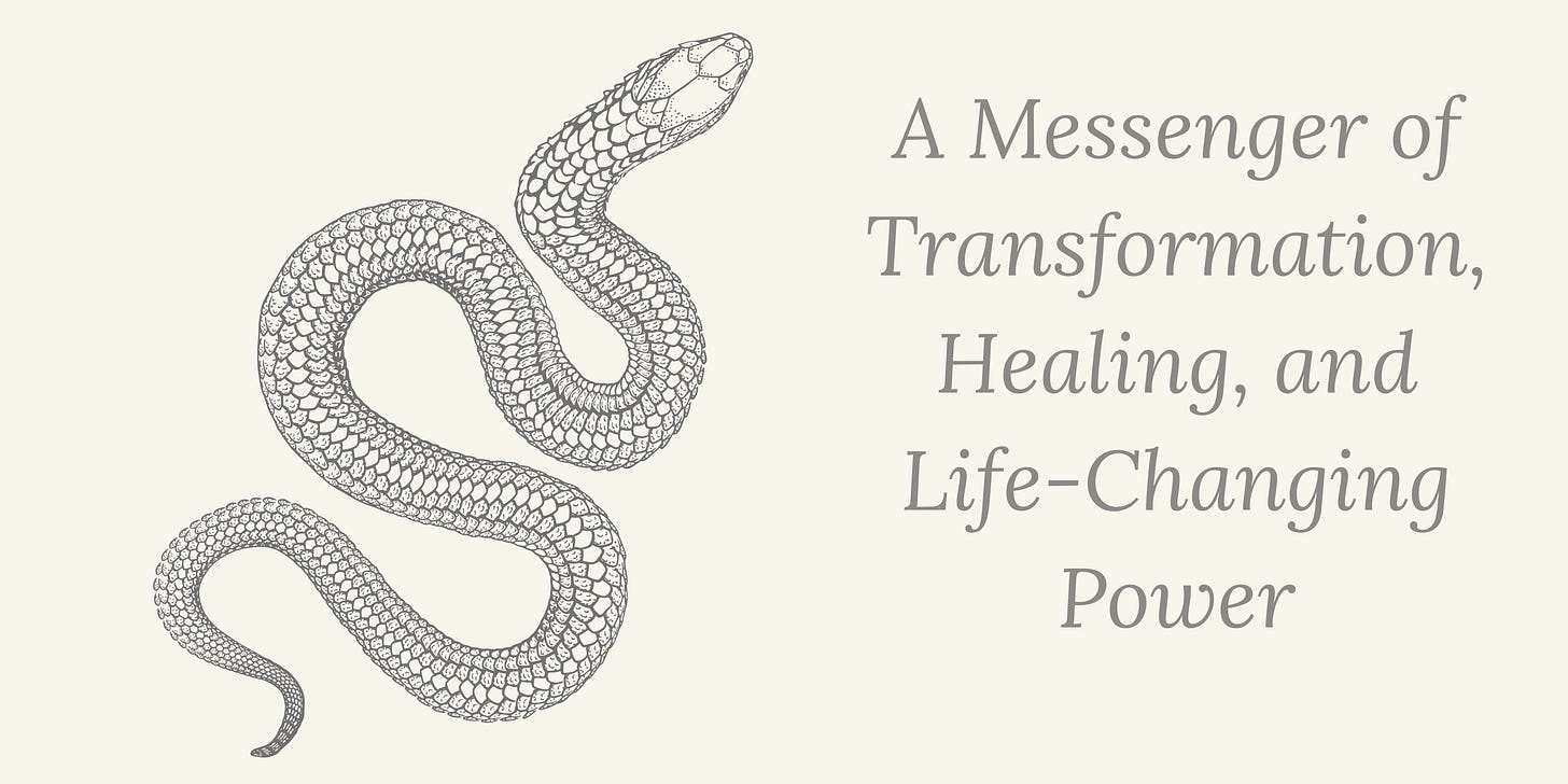 Snake Spirit Animal: What It Means If You See Snakes